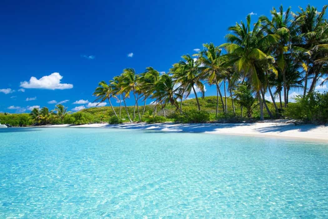 Voyage en Martinique : organisez votre séjour - blog voyage